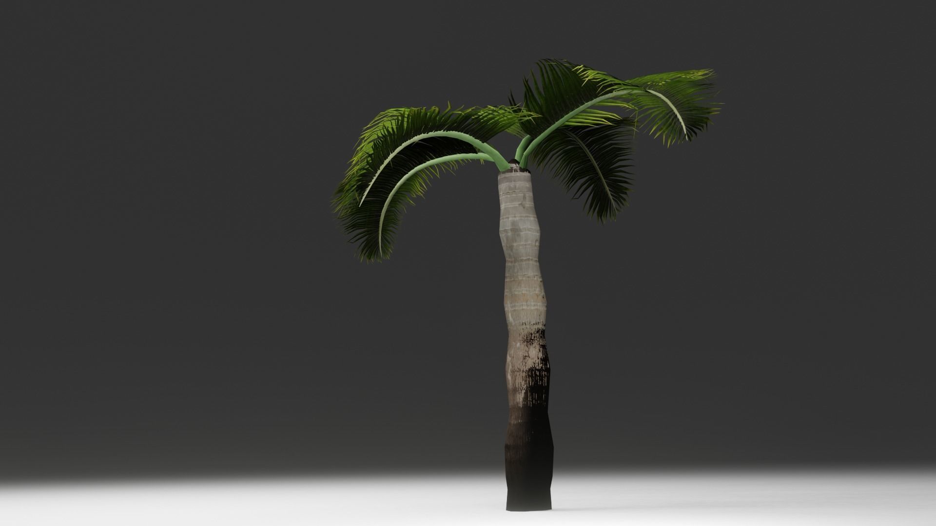 3D model Palm Tree Game Ready VR / AR / low-poly | CGTrader