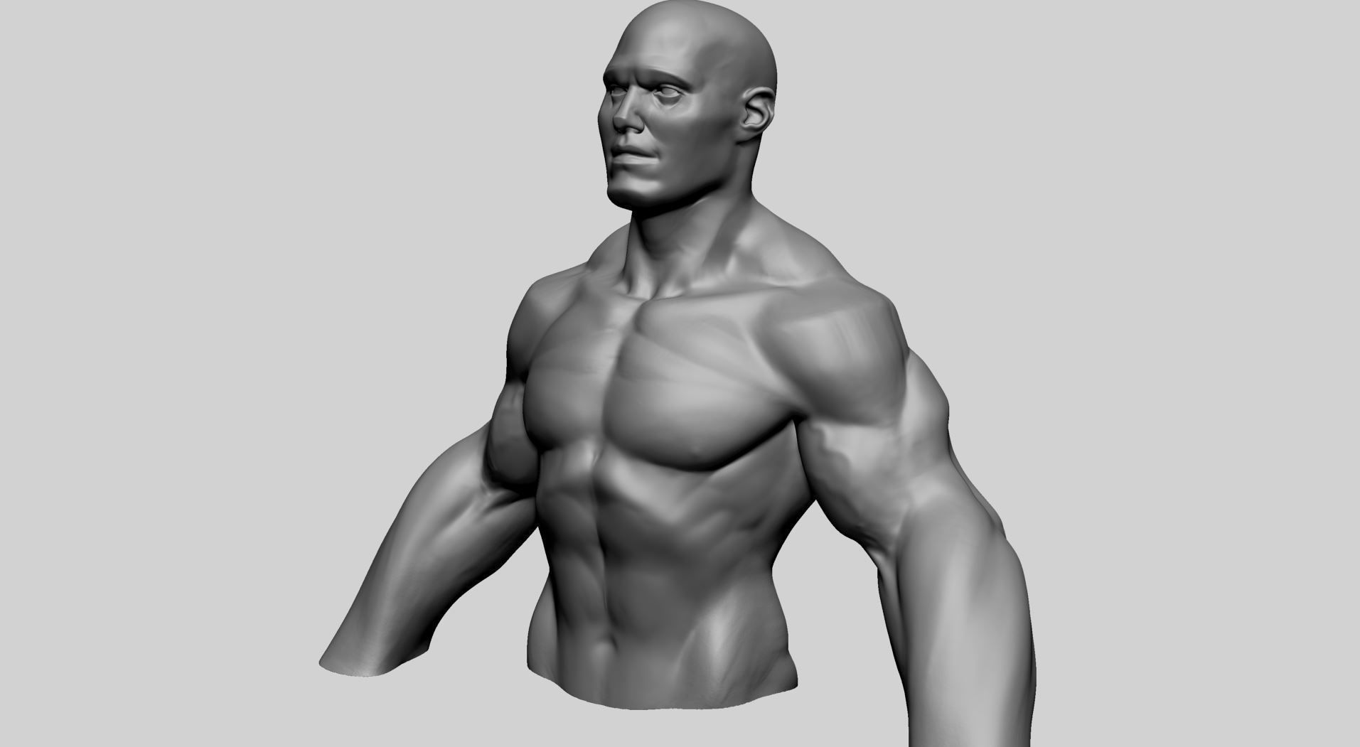 Stylized Male Upper Body 3D model | CGTrader
