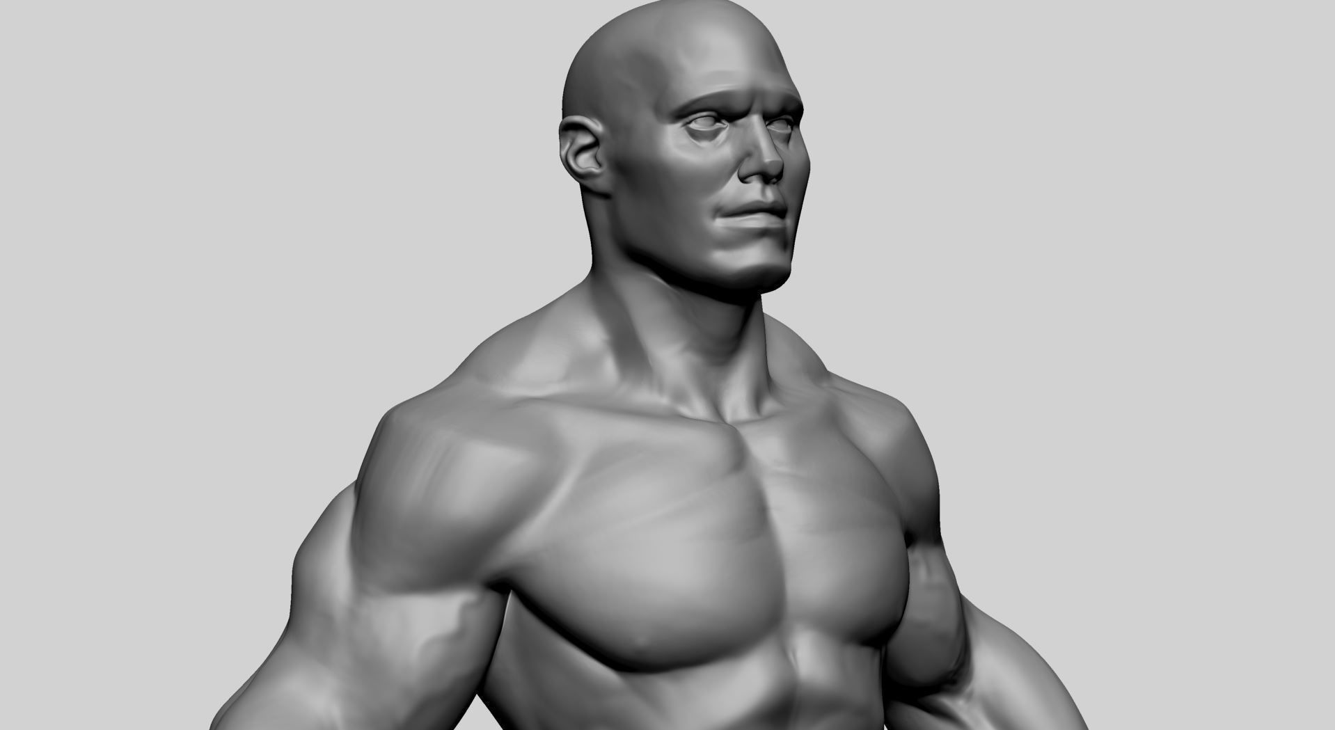 Stylized Male Upper Body 3D model | CGTrader