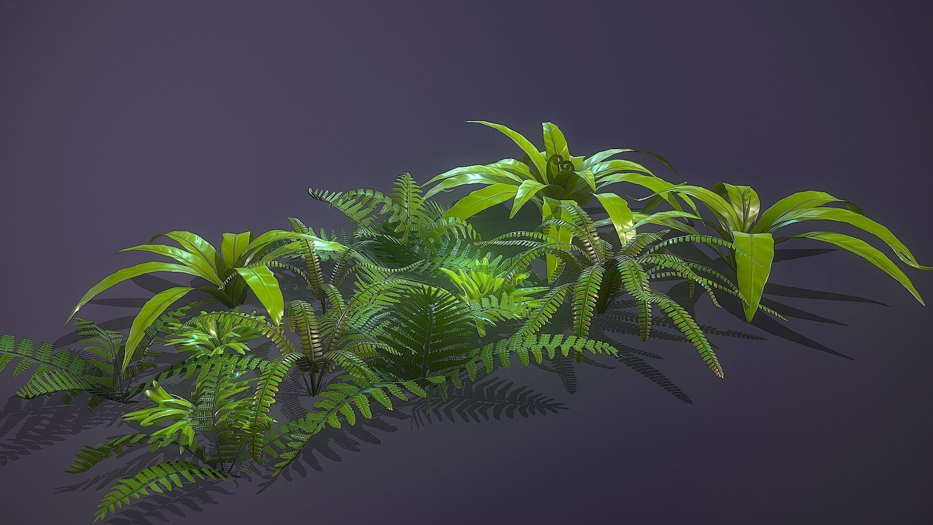 3D model Ferns Pack VR / AR / low-poly | CGTrader