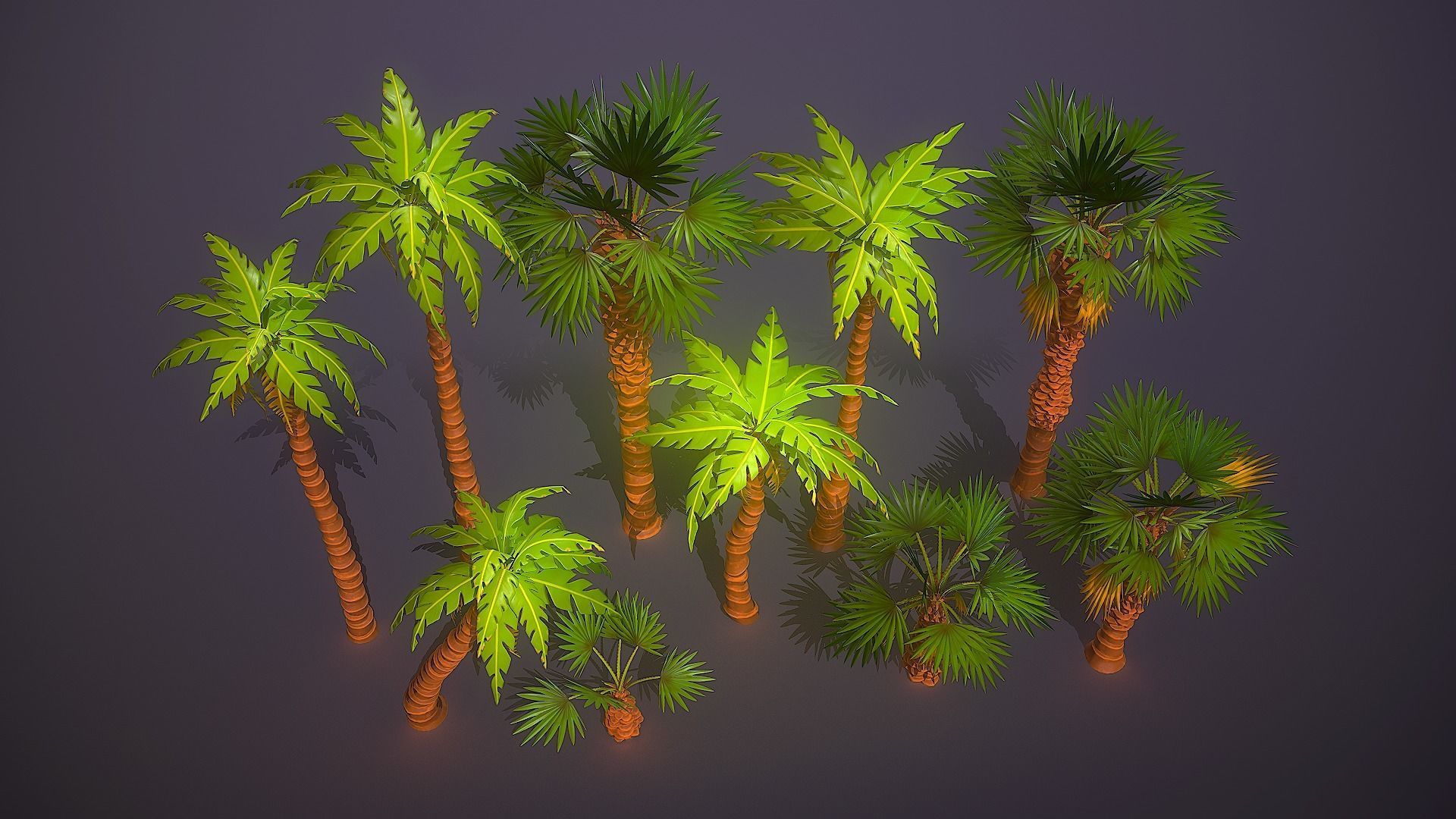 3D model Stylized Palm Trees Pack VR / AR / low-poly | CGTrader
