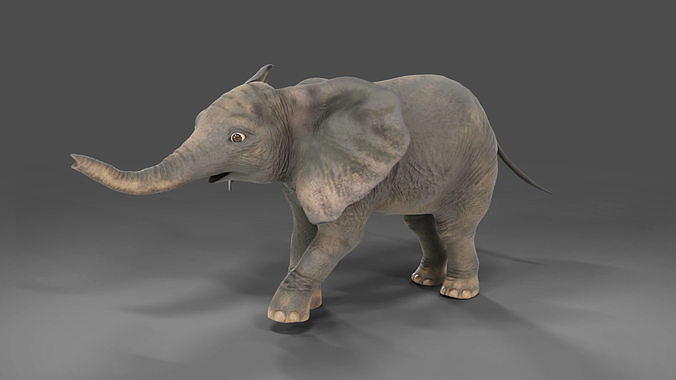 3D model Baby Elephant Rigged and Animation Unity VR / AR / low-poly ...