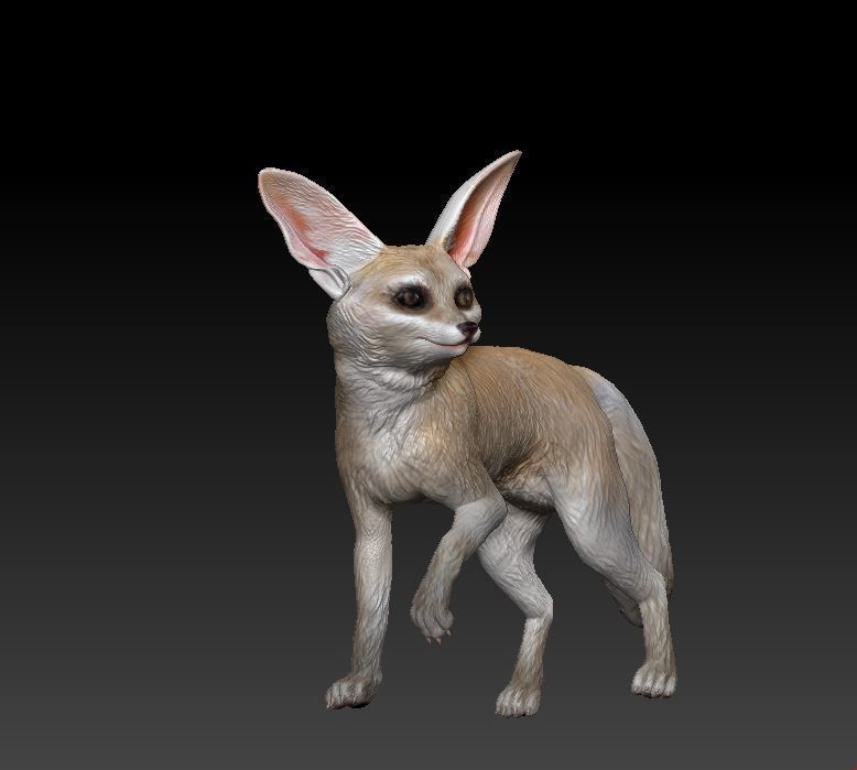 fennec fox 3D model 3D printable | CGTrader