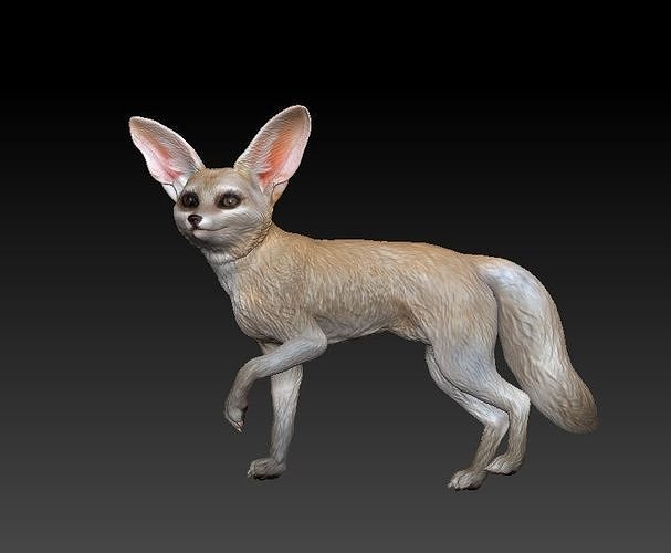 fennec fox 3D model 3D printable | CGTrader