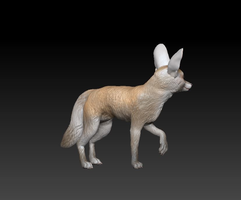 fennec fox 3D model 3D printable | CGTrader