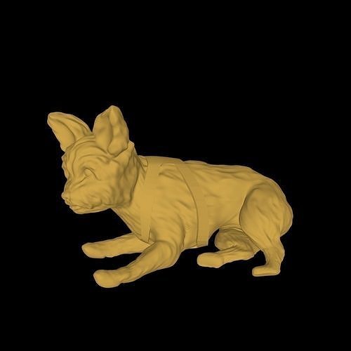 CUTE YORKIE DOG 3D model 3D printable | CGTrader