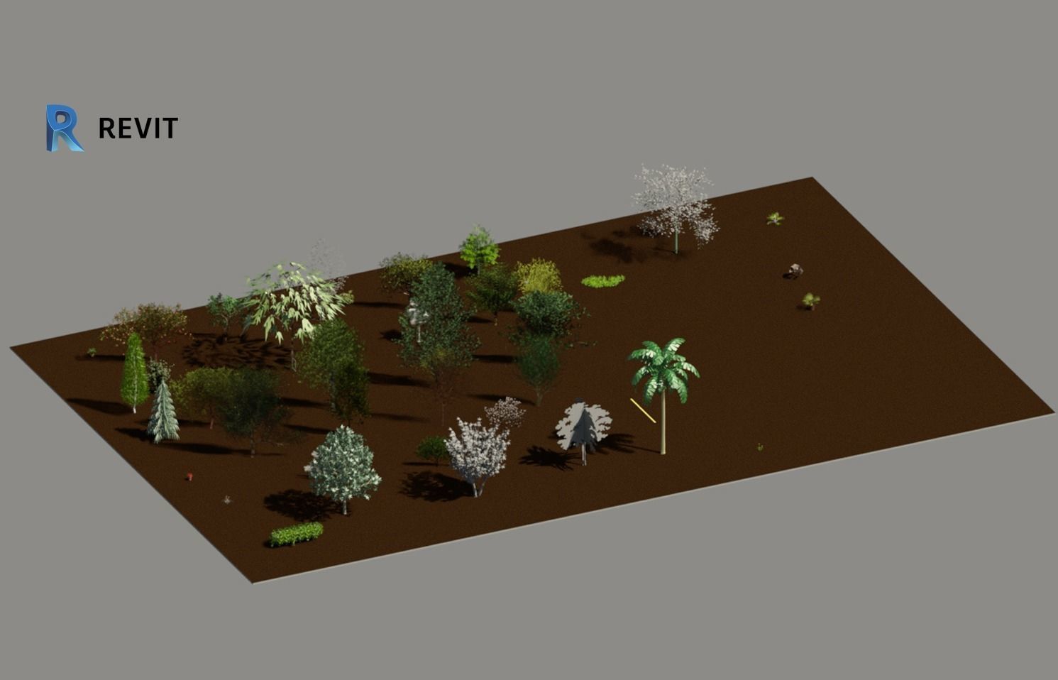 Autodesk Revit Tree Family collection 3D model | CGTrader