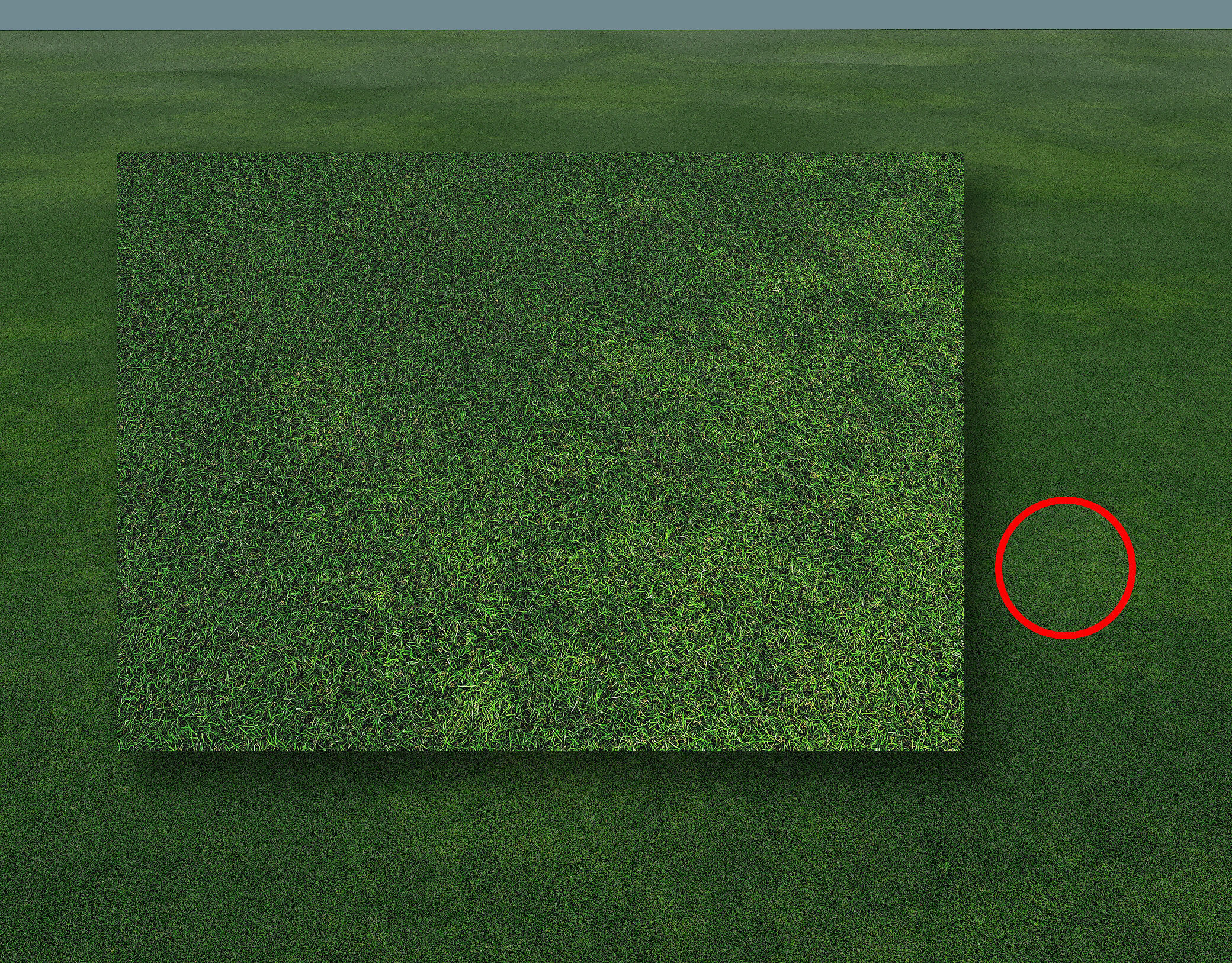 Grass material with seamless high quality maps- CoronaMtl Texture ...