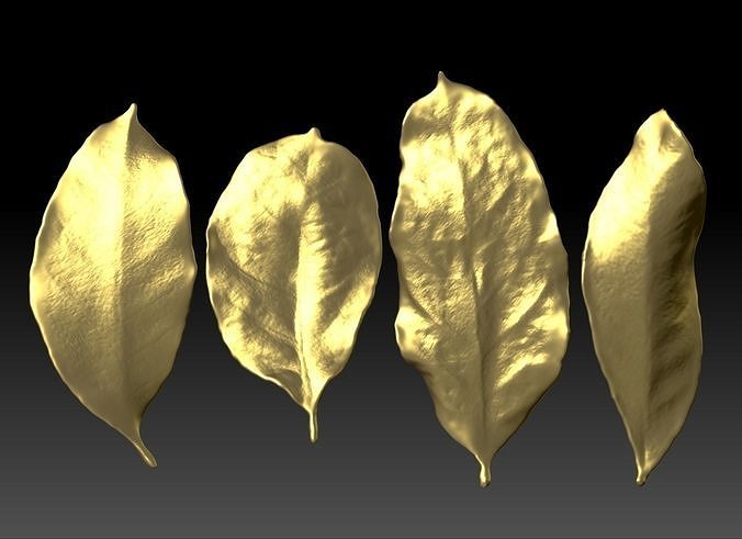 ZBrush Leaf Brush leaf foliage leafage 3D printing leaves 3D model 3D ...