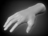 Realistic Man Hand 3D model | CGTrader