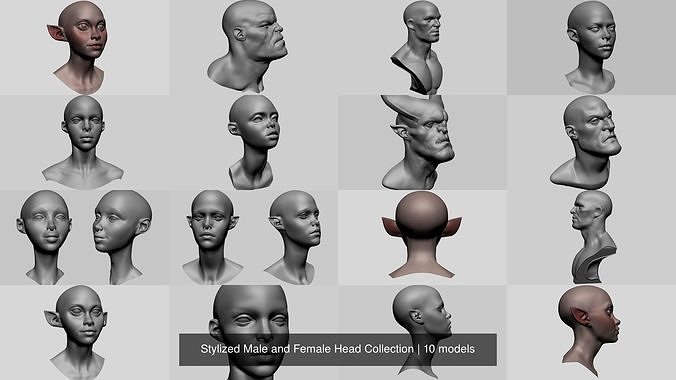 Stylized Male and Female Head Collection | CGTrader