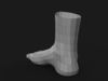 Realistic Human Foot 3D model | CGTrader
