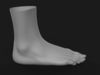 Realistic Human Foot 3D model | CGTrader