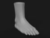 Realistic Human Foot 3D model | CGTrader