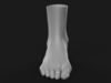 Realistic Human Foot 3D model | CGTrader