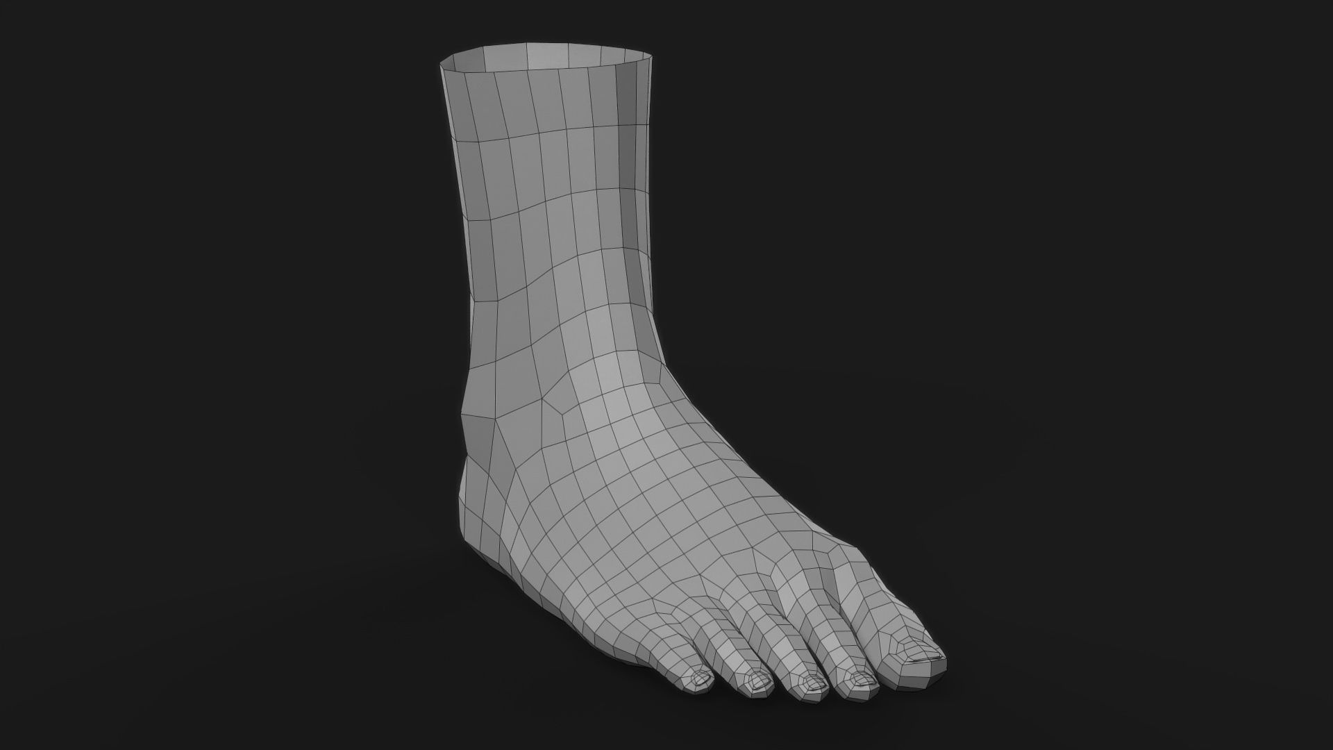 Realistic Human Foot 3d Model Cgtrader