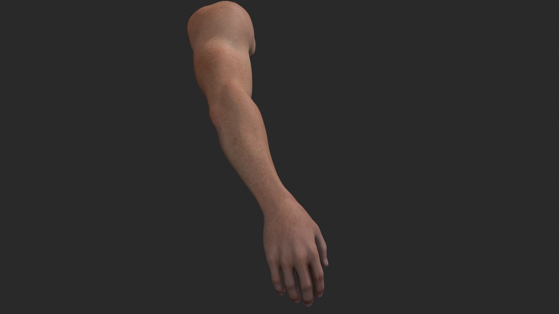 Procreate 3D Model Realistic Arm Male 3D model | CGTrader