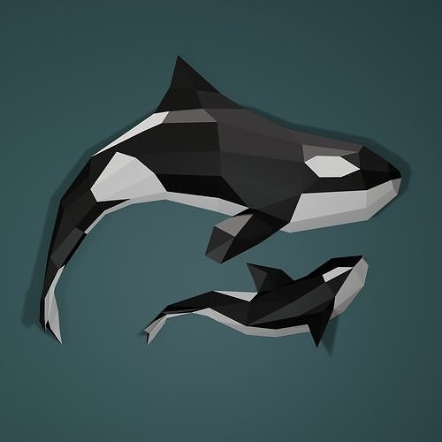 3D model Orca Whale Low Poly Model VR / AR / low-poly | CGTrader
