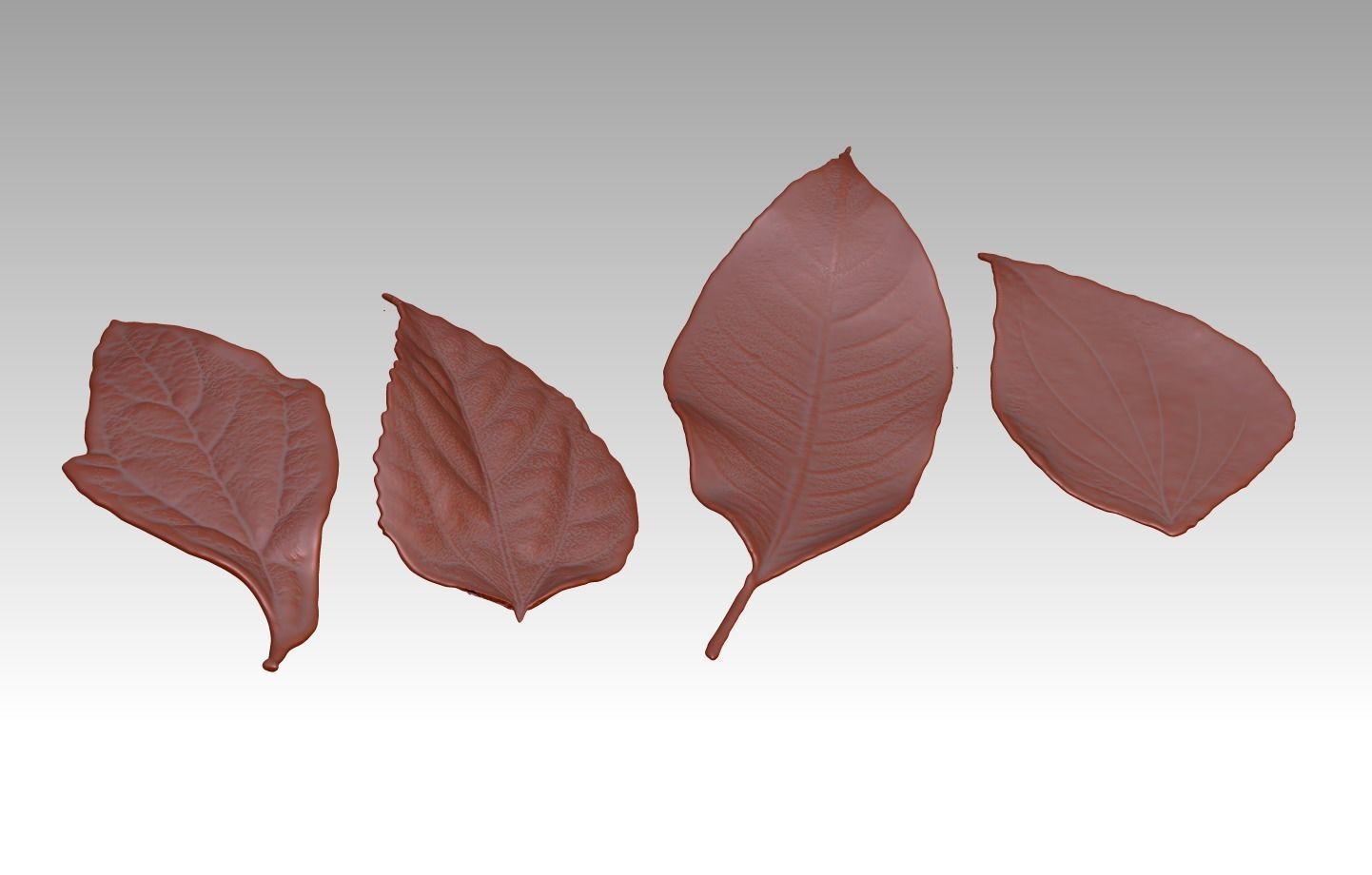 3D printing leaves Withered leaves Autumn leaves Leaf sculpture 3D ...