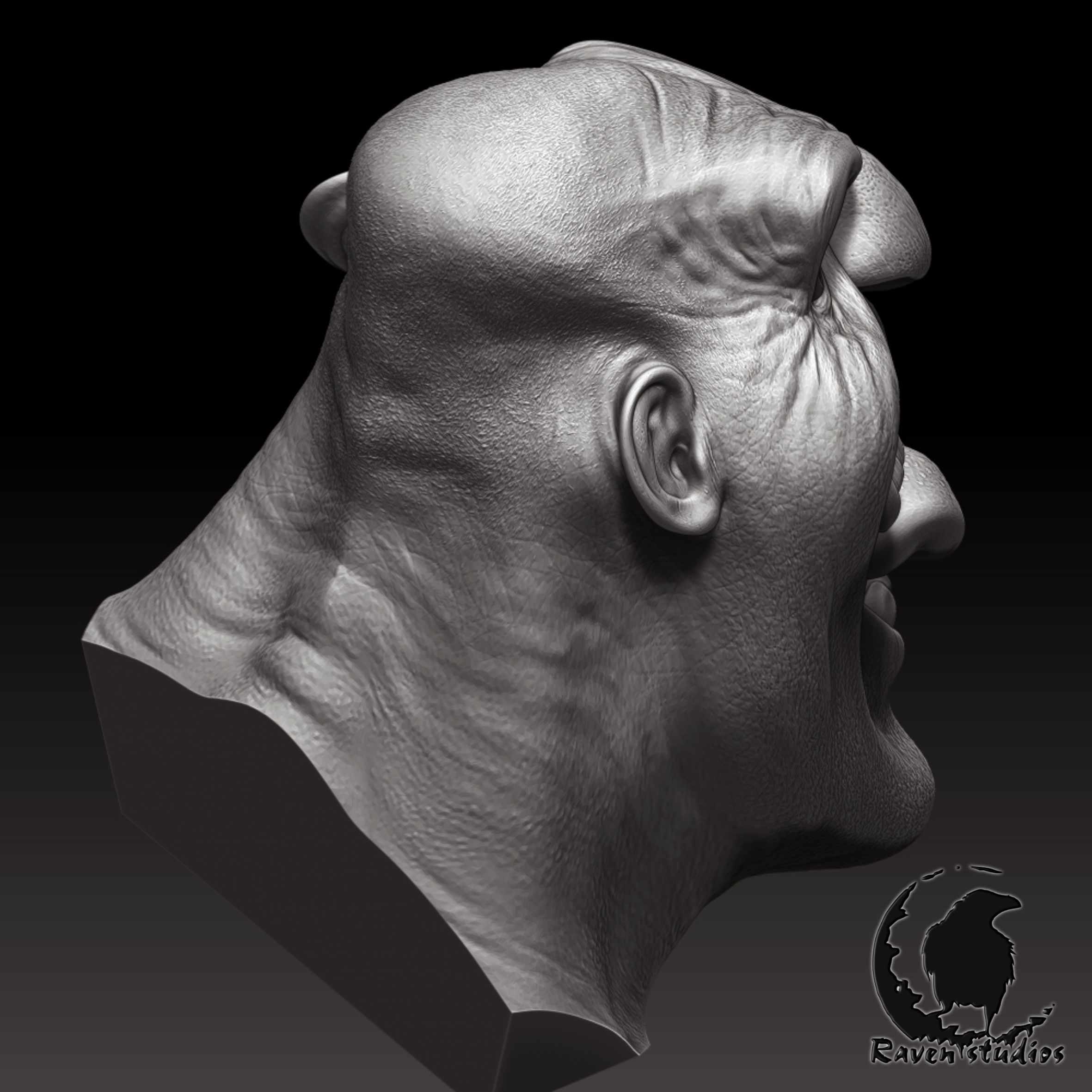 HD HEAD CRAZY HEAD 3D model 3D printable | CGTrader
