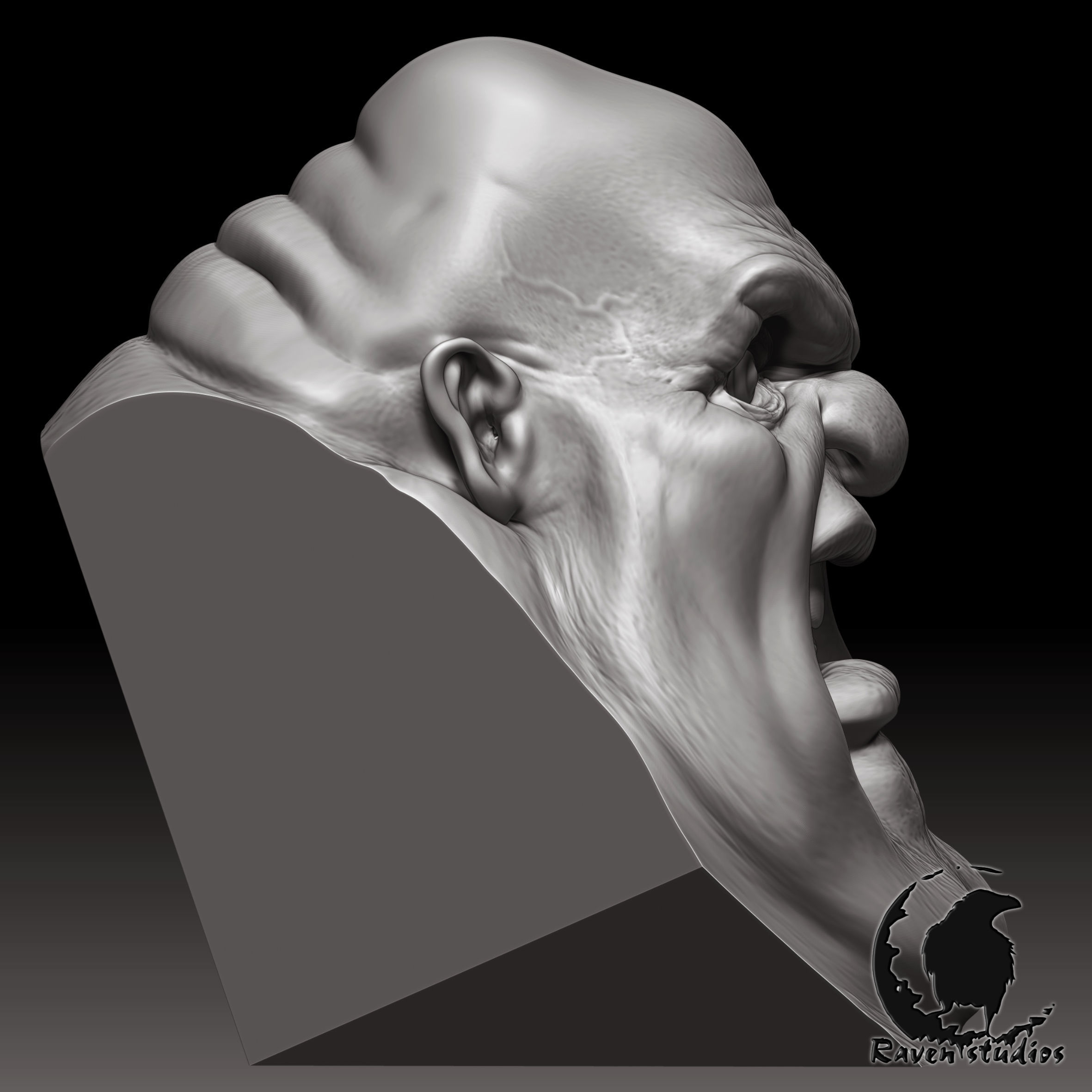 HD HEAD FAT FACE 3D model 3D printable | CGTrader