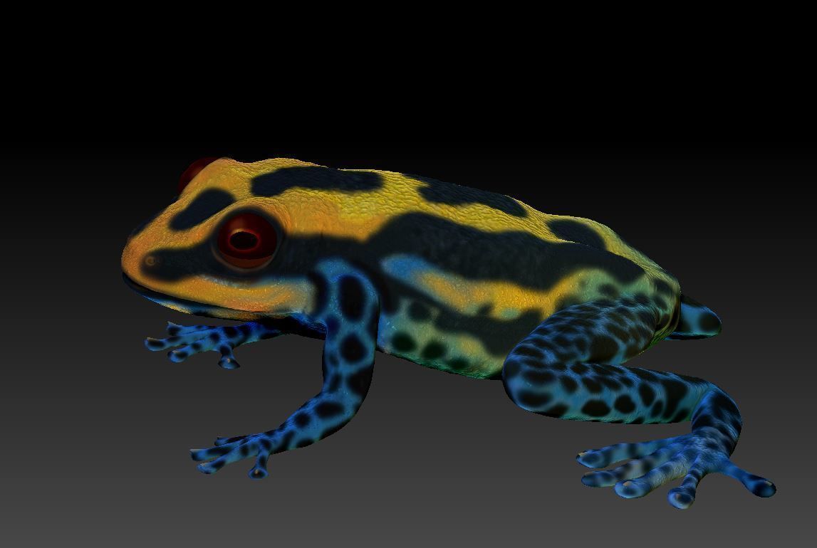 Poison dart frog 3D model 3D printable | CGTrader