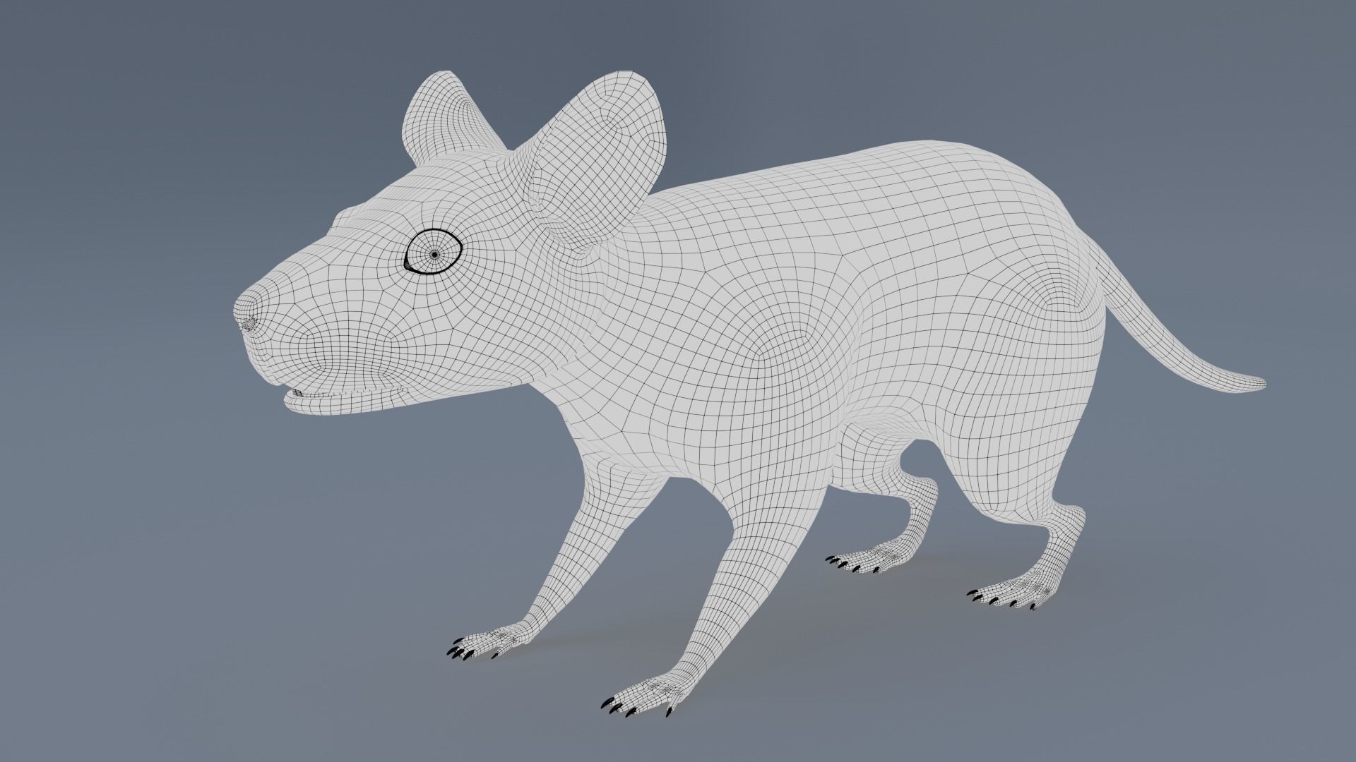 Rat Rigged 3D model 3D model rigged | CGTrader