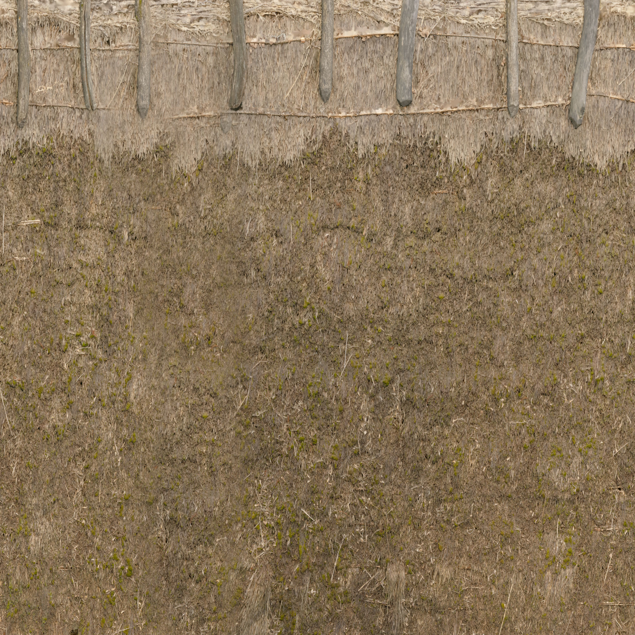 olden house 3d model free 3D model | CGTrader