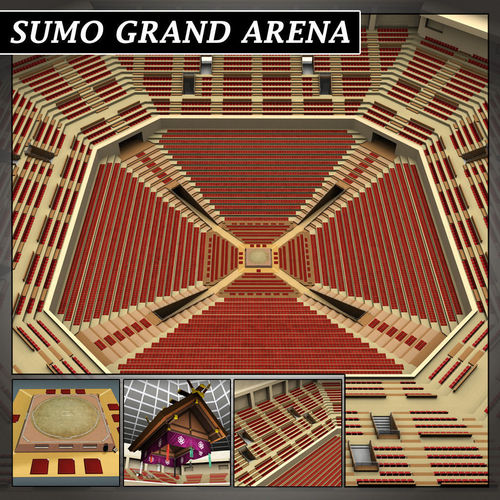 Sumo arena grand hall dojo 3D model | CGTrader