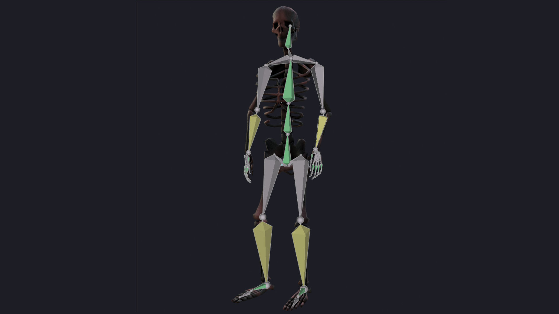 Rigged Human Skeleton Animated 3D model animated rigged | CGTrader