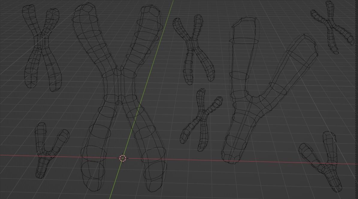 Detailed Chromosome 3D model and scene 3D model | CGTrader