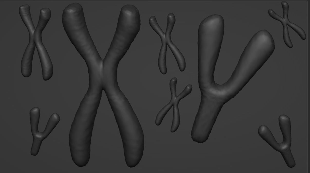 Detailed Chromosome 3D model and scene 3D model | CGTrader