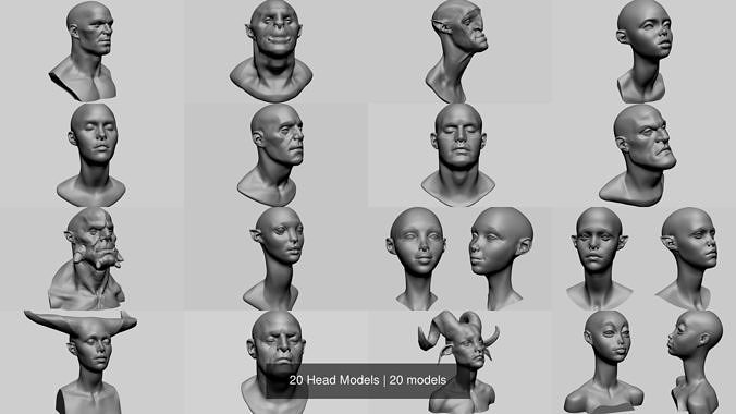 20 Head Models 3D Model Collection | CGTrader