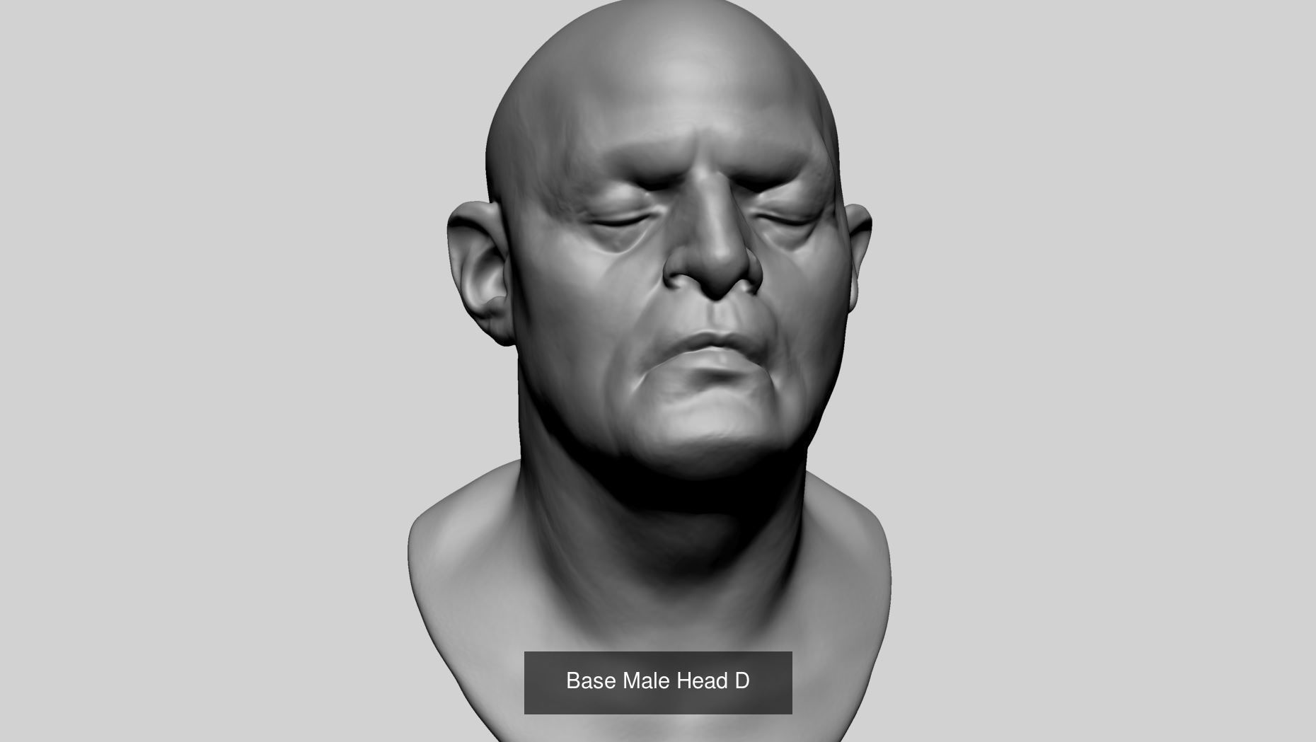20 Head Models 3D Model Collection | CGTrader