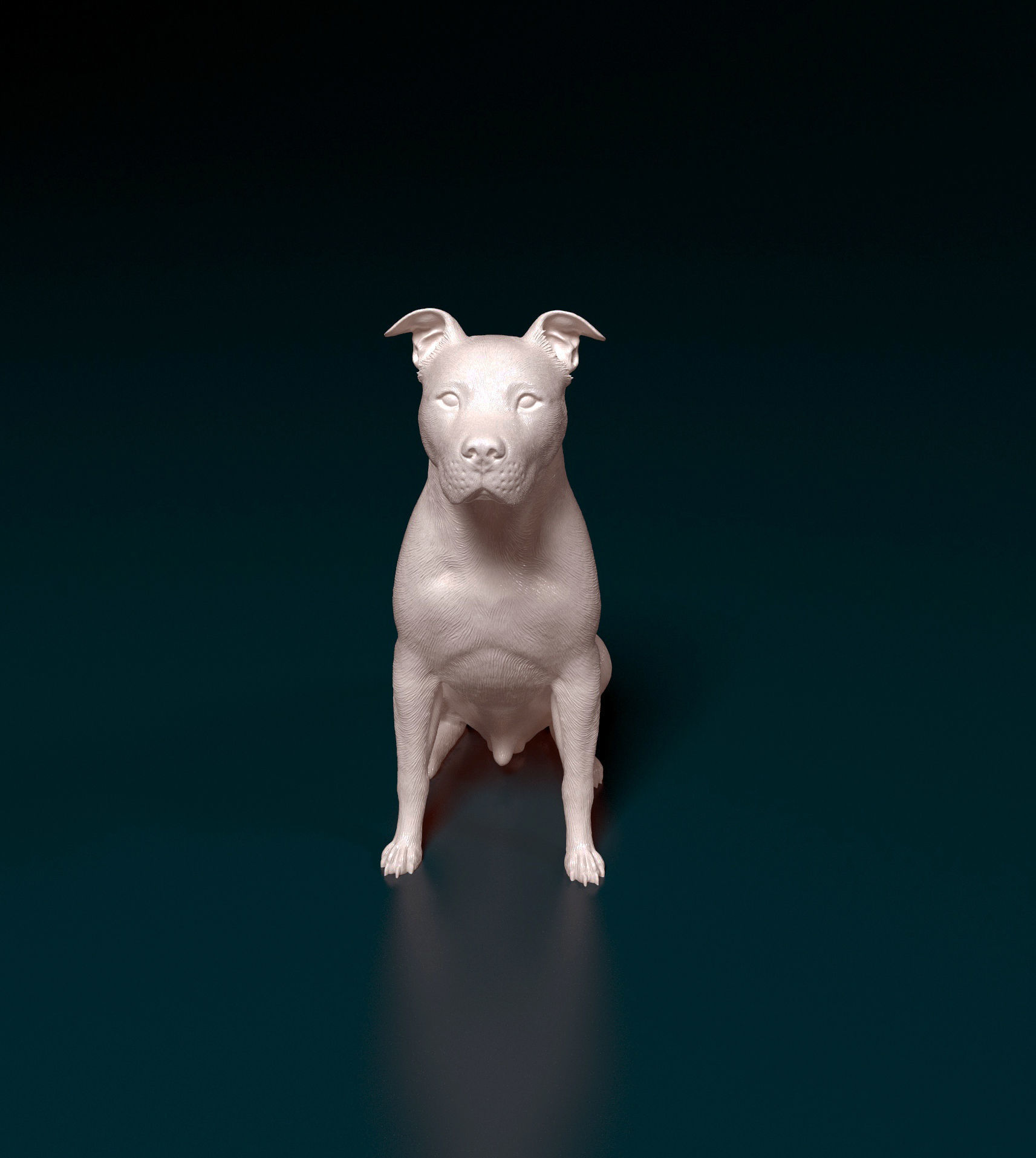 Staffordshire bull terrier 6 3D model 3D printable | CGTrader