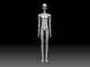 BJD MODEL MALE STL BALL JOINTED DOLL 3D model 3D printable | CGTrader