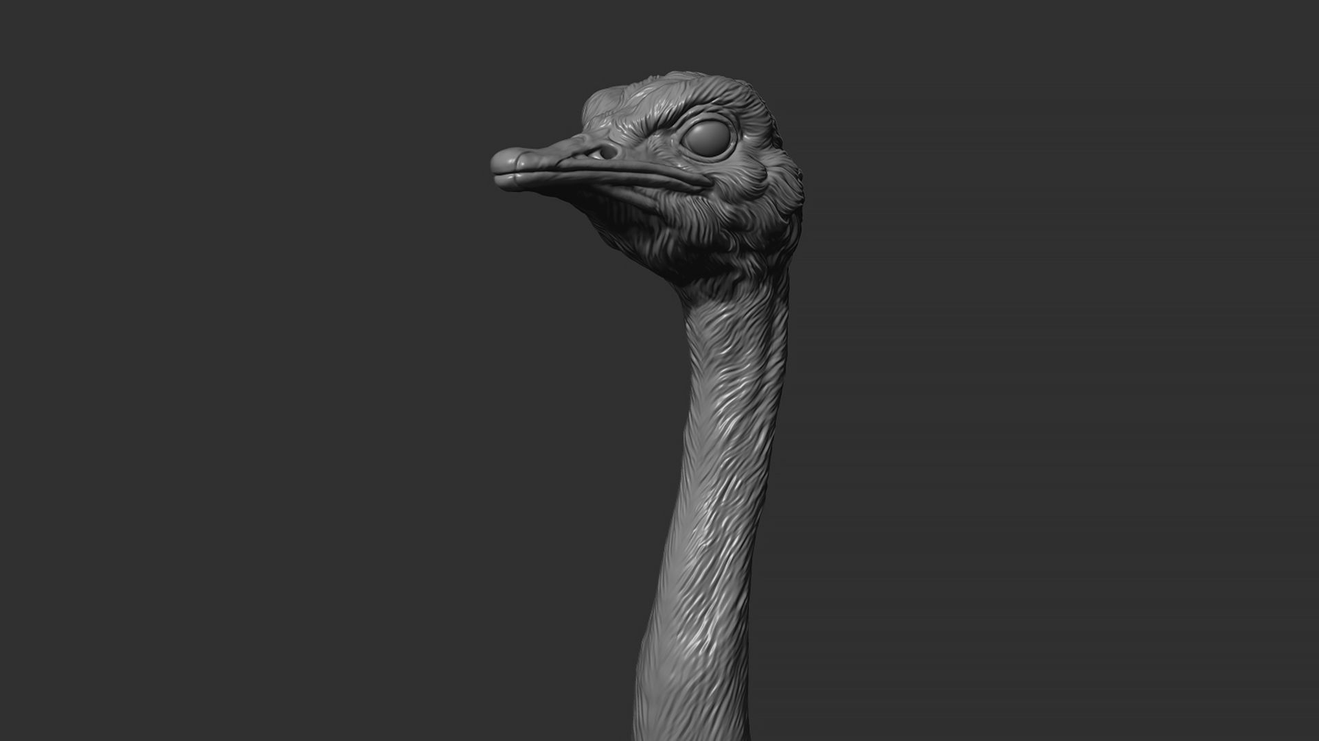 Ostrich head 3D model 3D printable | CGTrader