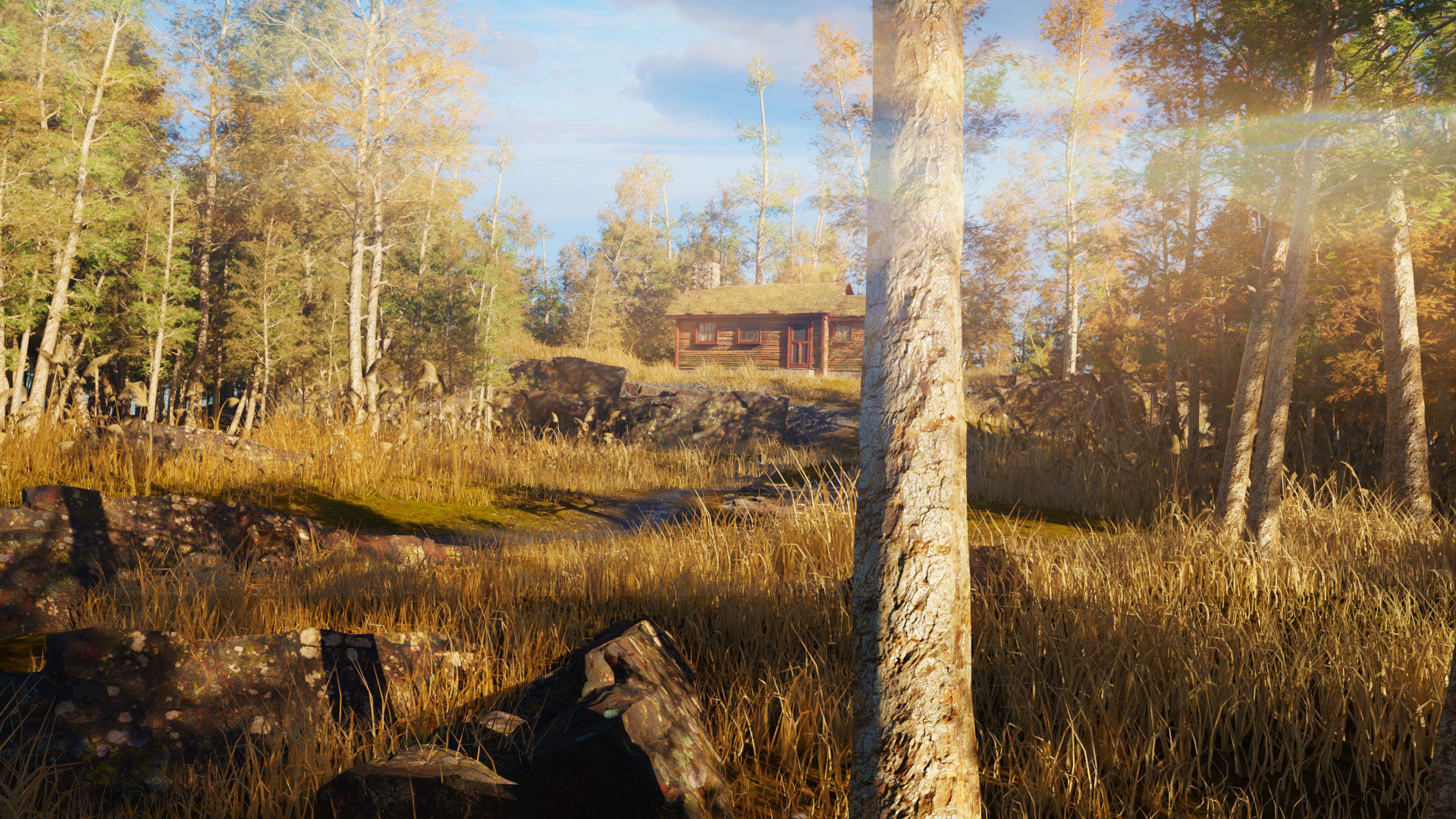 3D model cabin a the woods blender scene VR / AR / low-poly | CGTrader
