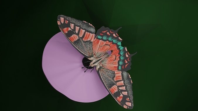 Butterfly animation free 3D model animated rigged | CGTrader