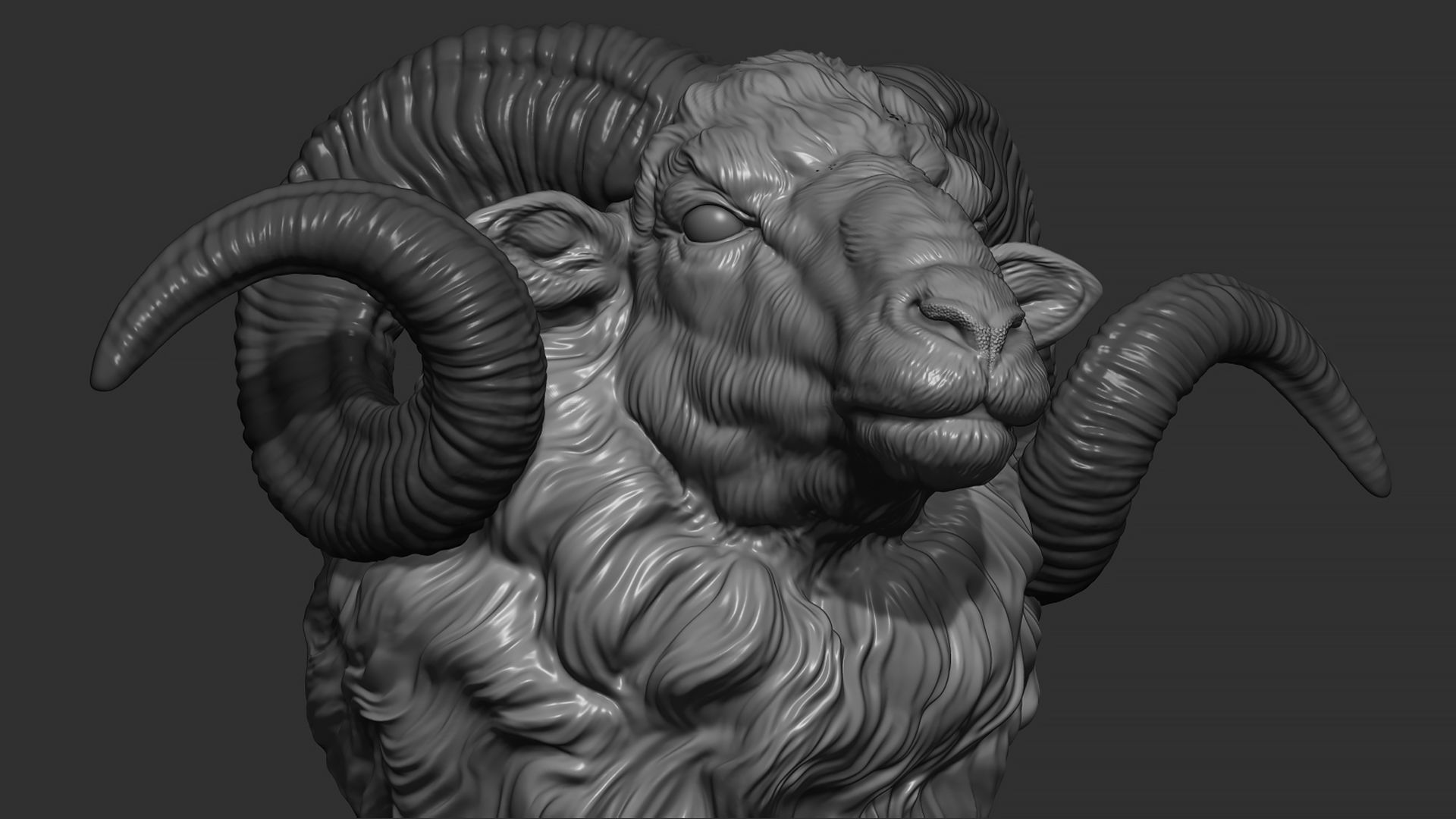 Ram sheep head 3D model 3D printable | CGTrader