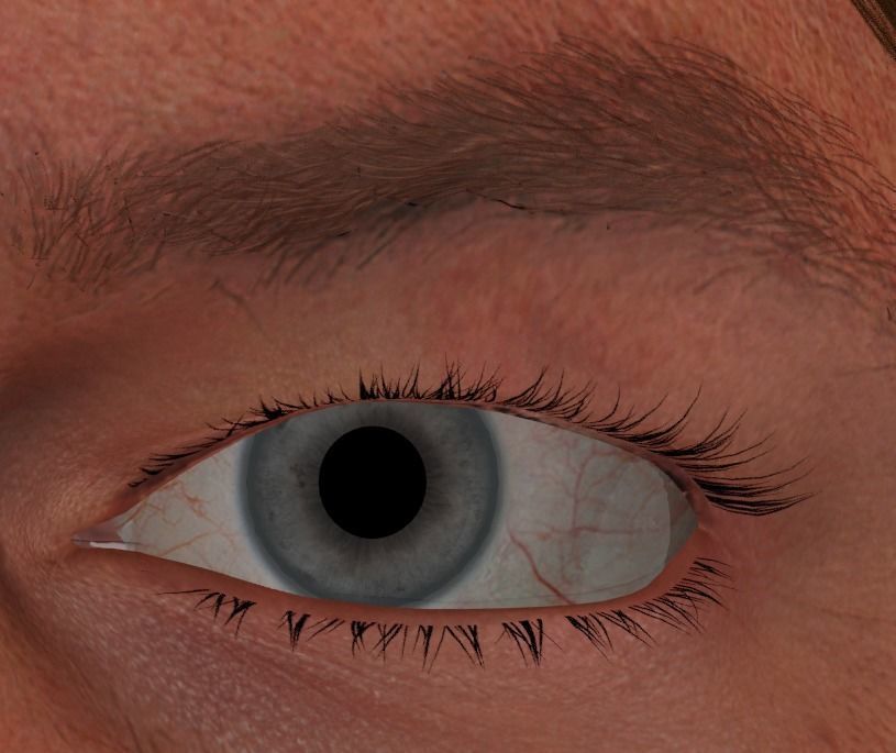 3D model The Walking Dead - Daryl Dixon Low Poly Rigged 3d model VR ...