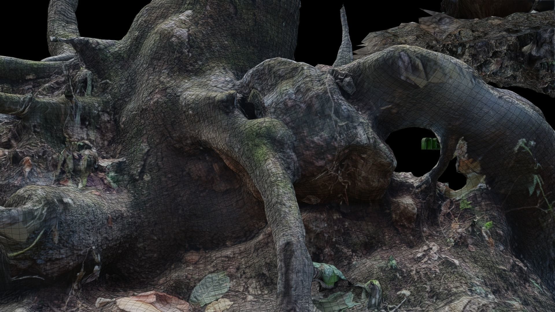 3D model Tree Photoscan Retopologies Low poly Mid poly and Raw photoscan VR / AR / low-poly ...