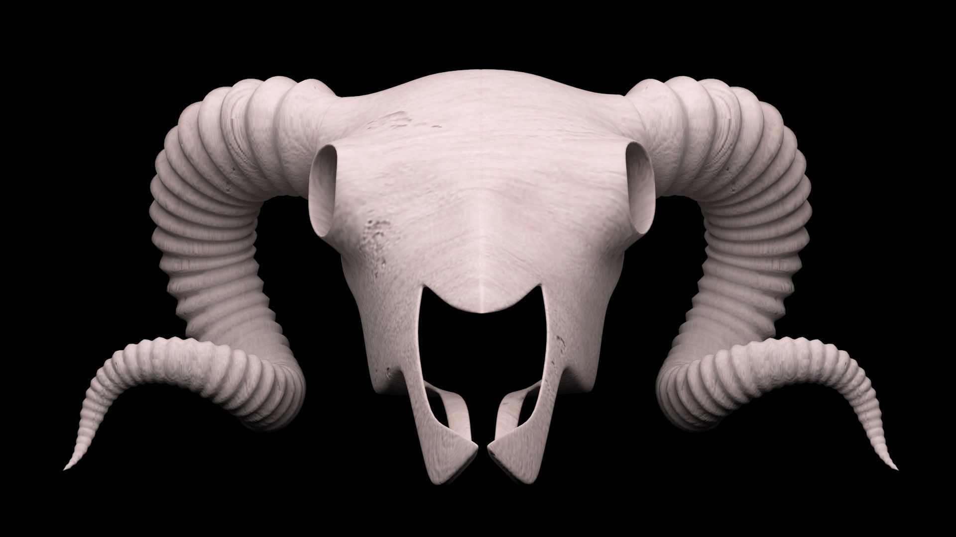 Ram Skull 3D model | CGTrader