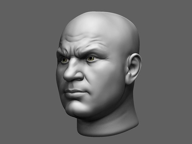 European male head sculpt 2 3D model | CGTrader