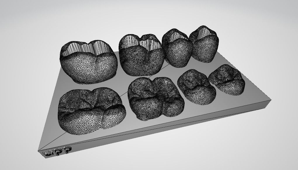 Dental Upper Arch Models 3D print model 3D model 3D printable | CGTrader