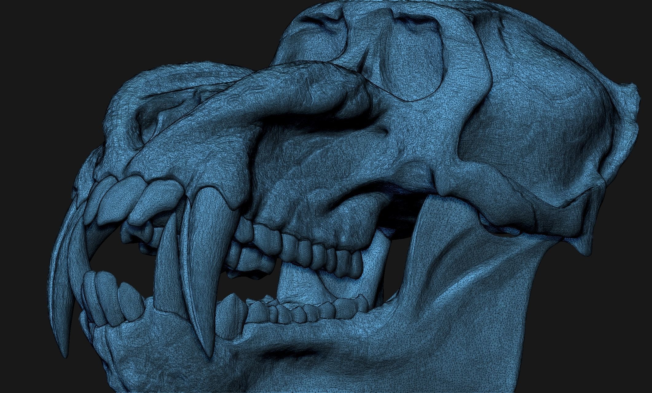 Mandrillus sphinx Skull - CNC and 3D model 3D printable | CGTrader