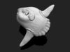 Sunfish - 3D Print - Aquarium 3D model 3D printable | CGTrader