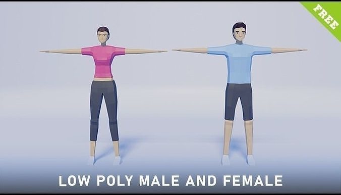 Low Poly Male and Female free VR / AR / low-poly 3D model rigged | CGTrader
