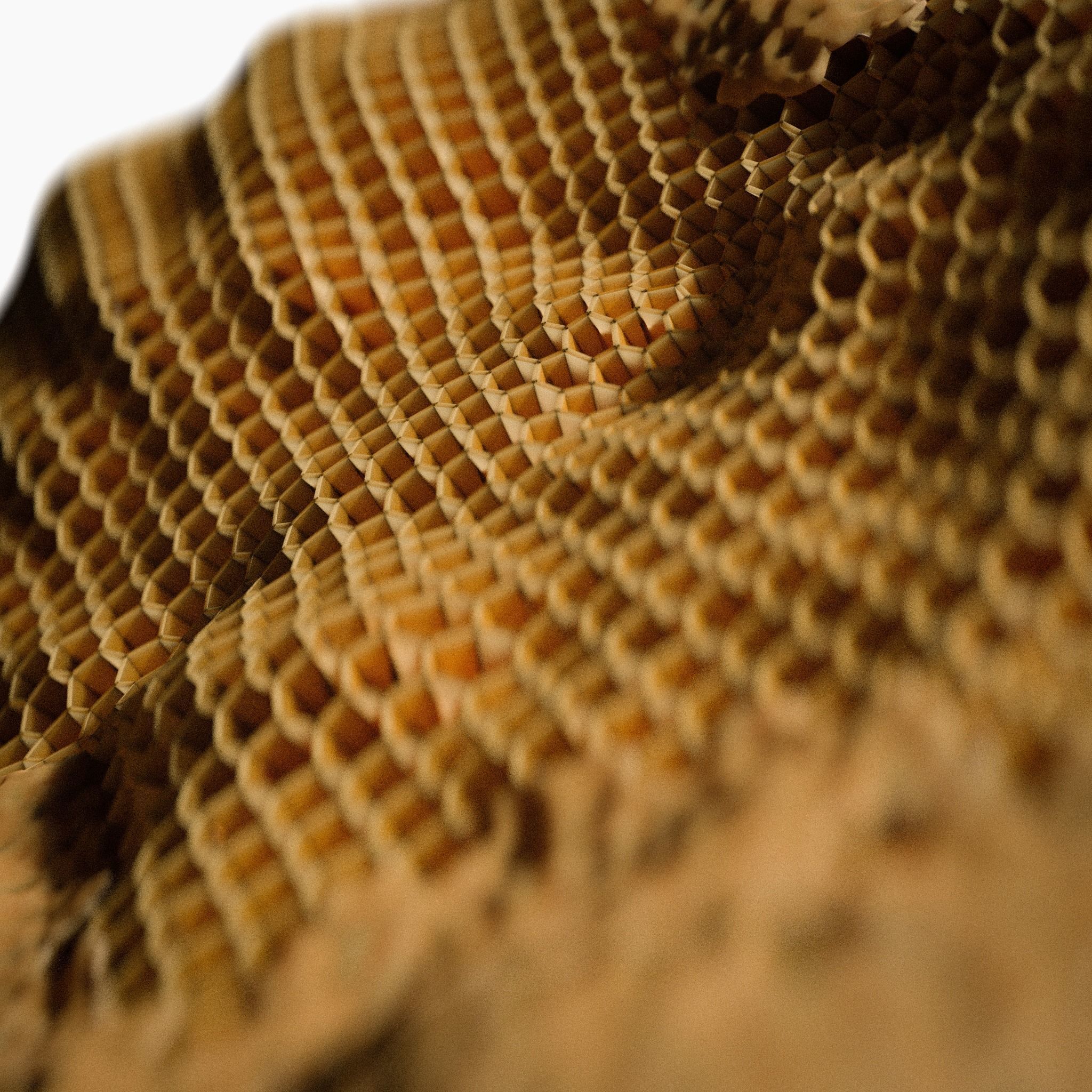 Procedural Beehive 3D model | CGTrader