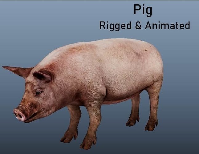 3D model Pig Animated VFX Grace VR / AR / low-poly | CGTrader